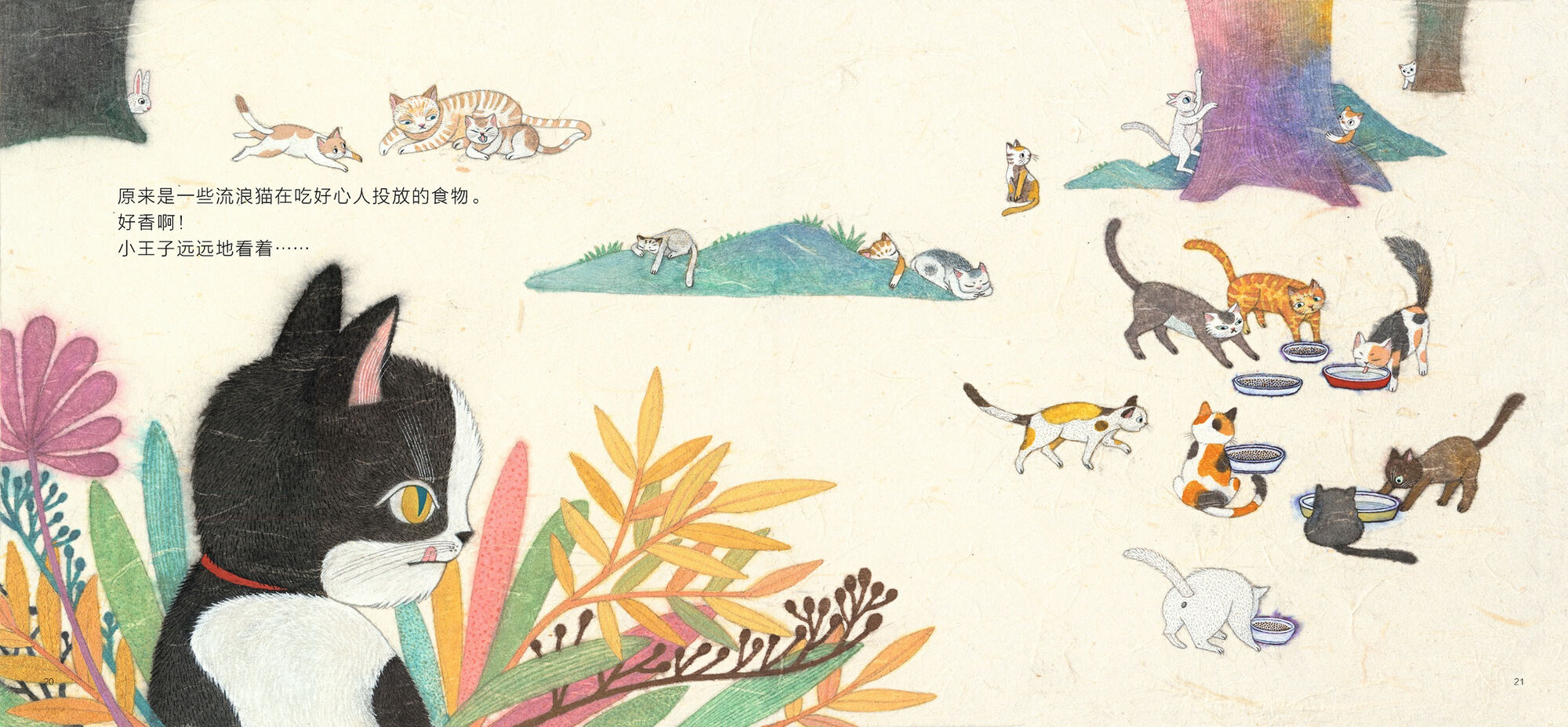 Authors & Illustrators MA YU